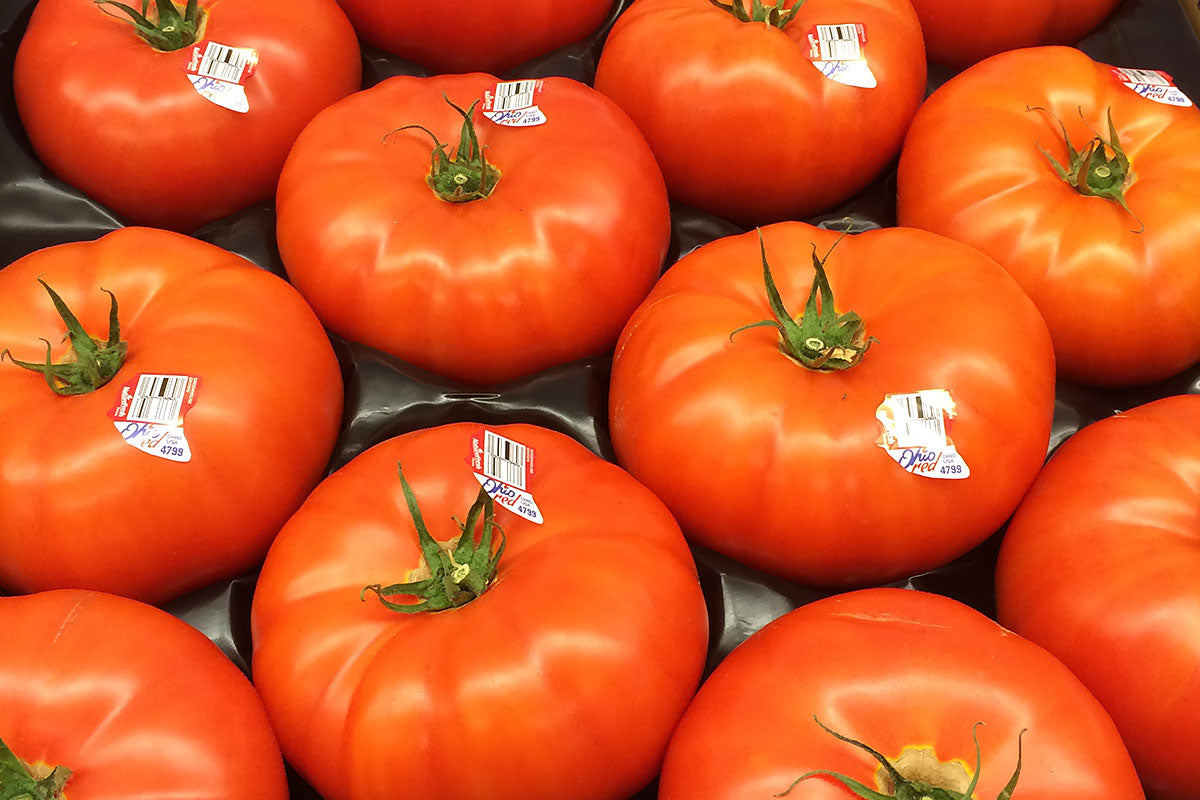 Hot House Tomato – Oliver's Butcher & Catering