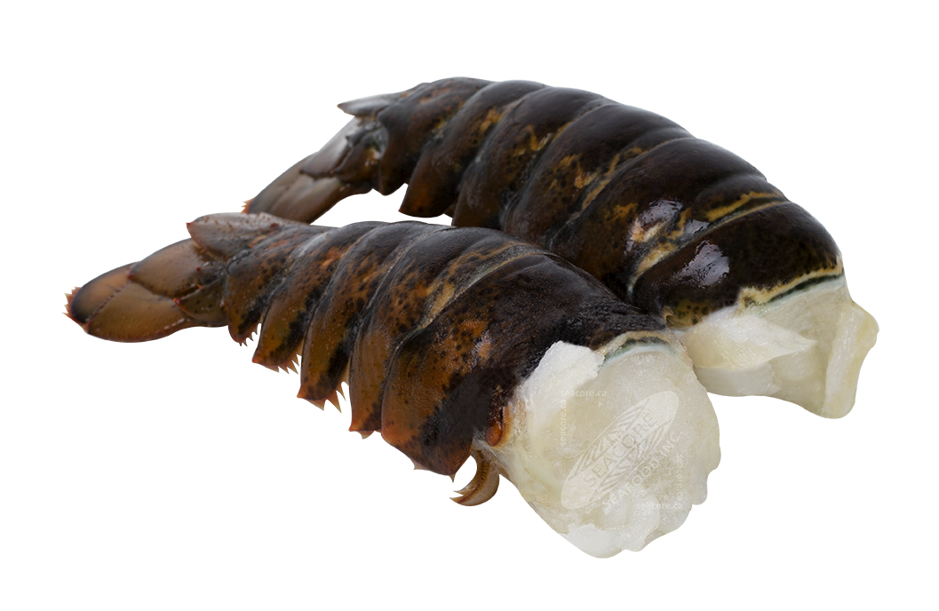 Cuban Lobster Tails – Oliver's Butcher & Catering
